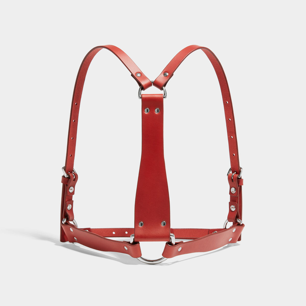 D-Ring Harness Red | Fleet Ilya